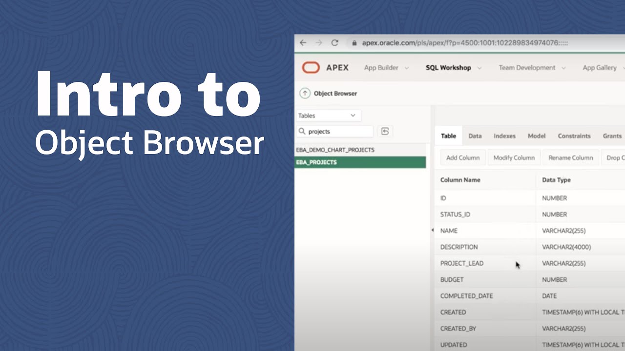 Intro to Object Browser