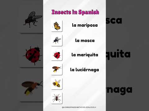 🦋Insects in Spanish PT. 1 🇪🇸 #shorts #learnspanish #beginnerspanish