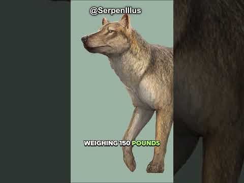 The Real World Dire Wolf 🐺