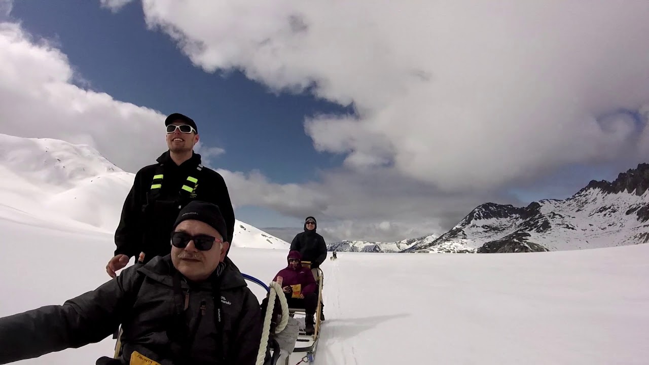 Dog Sledding in Skagway, Alaska May 2018