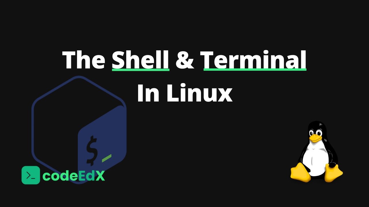 The Shell & Terminal In Linux | Types of Shells | Switch Between Shells In Linux