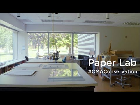 #CMAConservation: Paper Lab