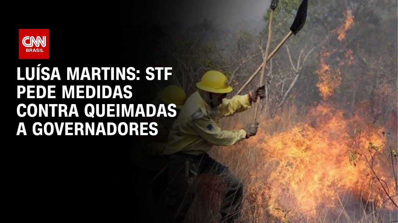Veja panorama das queimadas no Brasil; 10 milhões de pessoas foram ...