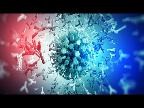 Blood Antibodies || Mrs. Biology