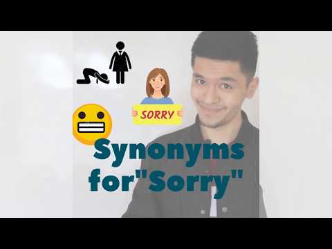 Synonyms for Sorry