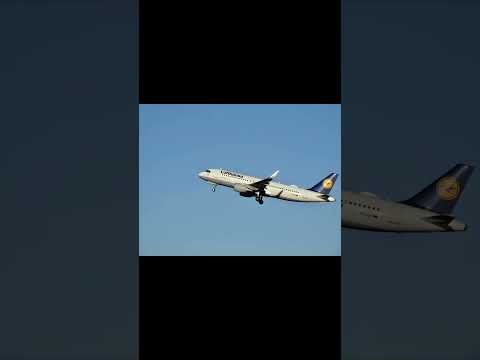 #🇩🇪 #dlh #lufthansa #airbus #a320 #troisdorf #man #plane #planespotting