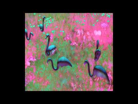 Ashera - Cyclic Balance