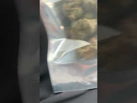 Double Stuff Oreo Strain – A1Cannabis