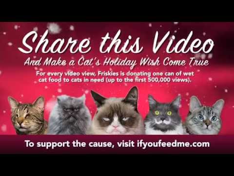 Grumpy Cat & Friends Star in Hard To Be a Cat at Christmas Music Video