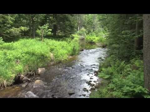 Outdoor Journal | Atherton Wildlife Management Area | Season 11