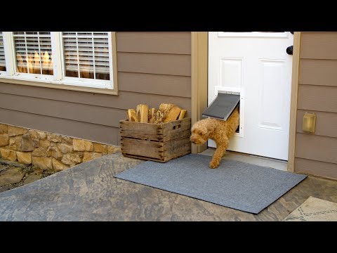 Extreme Weather Dog Door