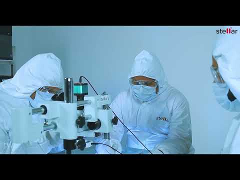 Brand Video Stellar Data Recovery Pvt