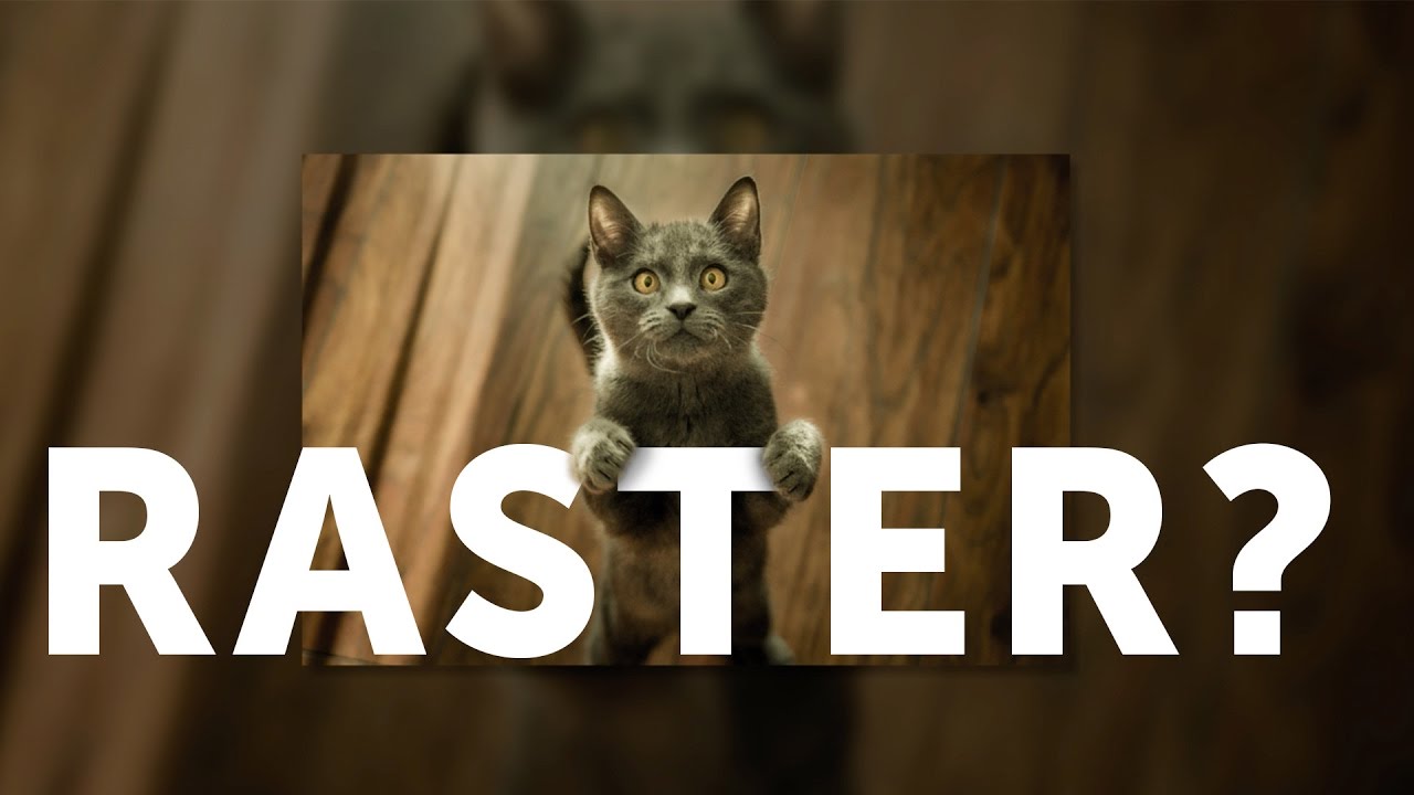 What is a raster image?