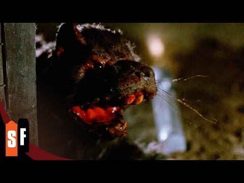 Man Gets Eaten By Giant Rats - Deadly Eyes (1982)