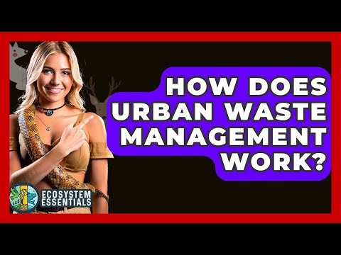 How Does Urban Waste Management Work? - Ecosystem Essentials