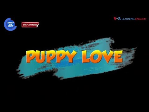 English in a Minute: Puppy Love