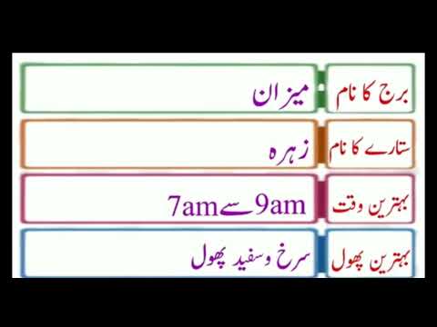 Tania names meaning in English Hindi Urdu lucky number lucky Stone