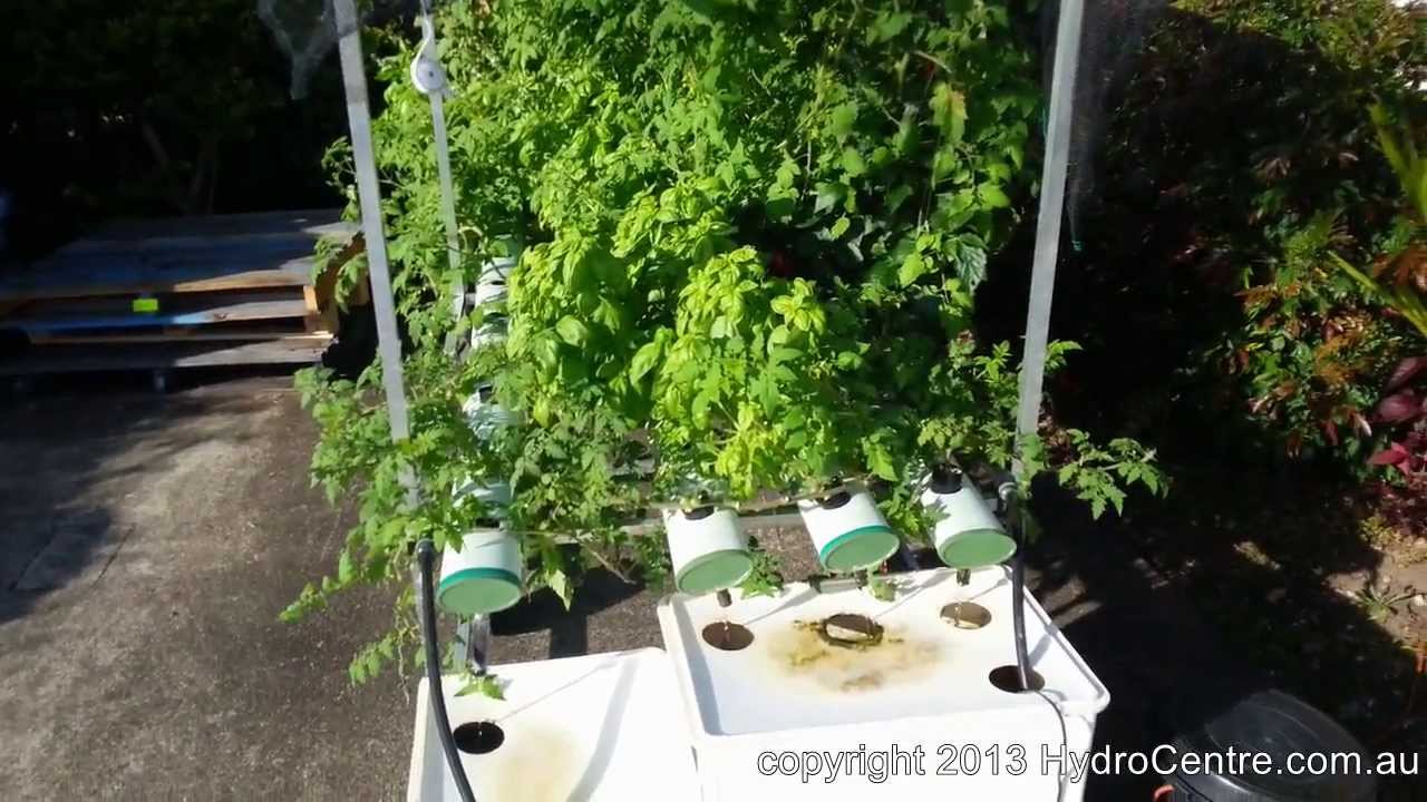 Three Popular Hydroponic Systems by Hydrocentre