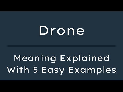 Drone Meaning in English With 5 Example Sentences, Drone Meaning in English