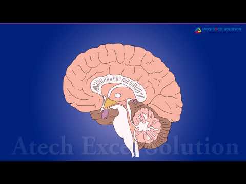 CBSE NCERT Class 10 Science Notes biology Nervous system | Atech Academy