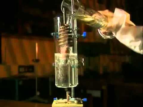 Measuring the Energy in Food