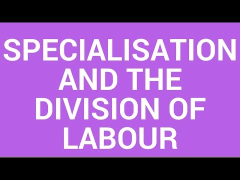 Specialisation and the Division of Labor