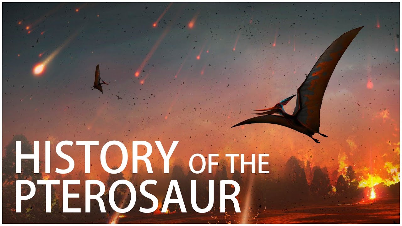 The History of The Pterosaur: When Flying Creatures Ruled The World | Dinosaur Documentary