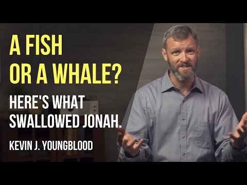 A fish or a whale? Here's what swallowed Jonah.
