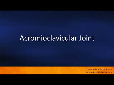 Pronunciation of the word(s) "Acromioclavicular Joint".
