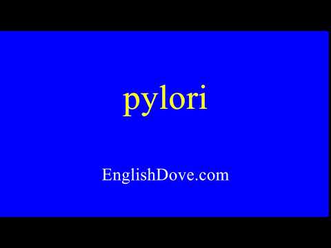 How to pronounce pylori in American English.
