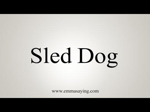 How To Say Sled Dog