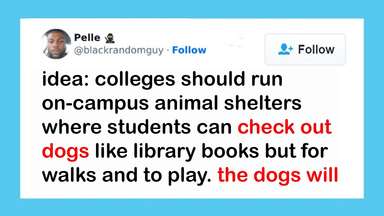 Hilariously Dumb Tweets That Made Everyone Pause