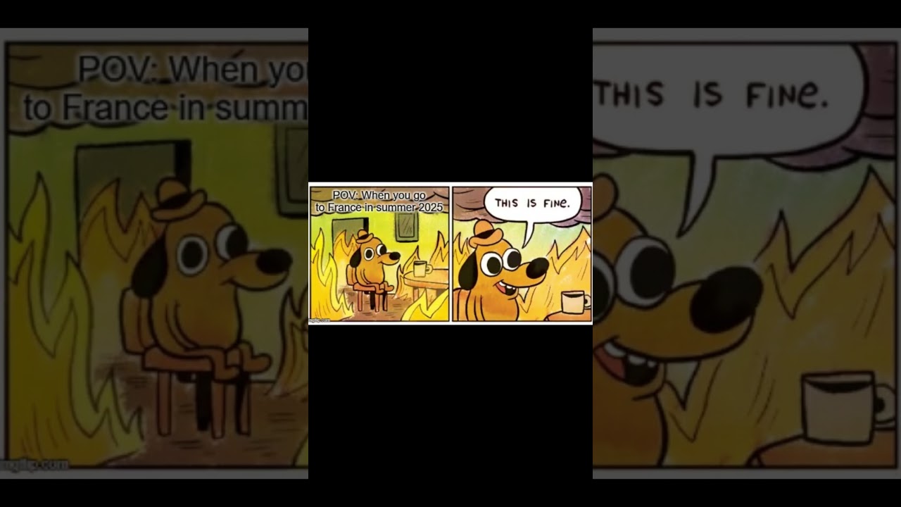 Weekly Sunday meme #17 #imgflip #memes #shorts