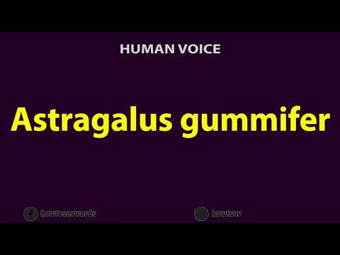 How To Pronounce Astragalus gummifer