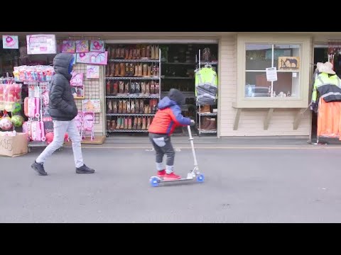 The Mile High Flea Market in Denver Is Absolutely Massive