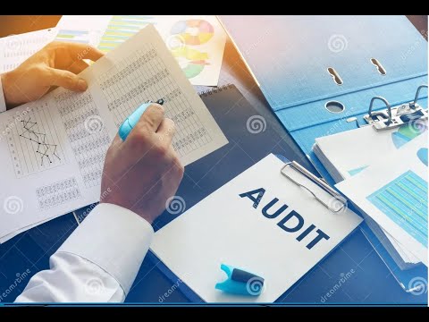 Auditors Responsibility -Frauds N Errors (Not Guarantee or Insurance)
