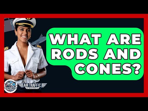 What Are Rods And Cones? - Air Traffic Insider