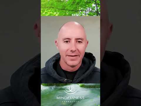 What is meditation script?