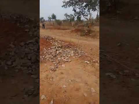 Staggered Trenching for soil and water conservation