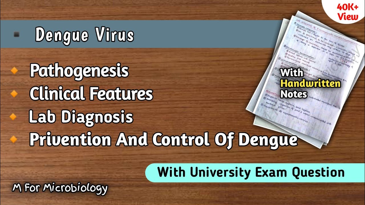 Understanding Dengue Virus: Pathogenesis, Clinical Features, Diagnosis, and Prevention | Galaxy.ai