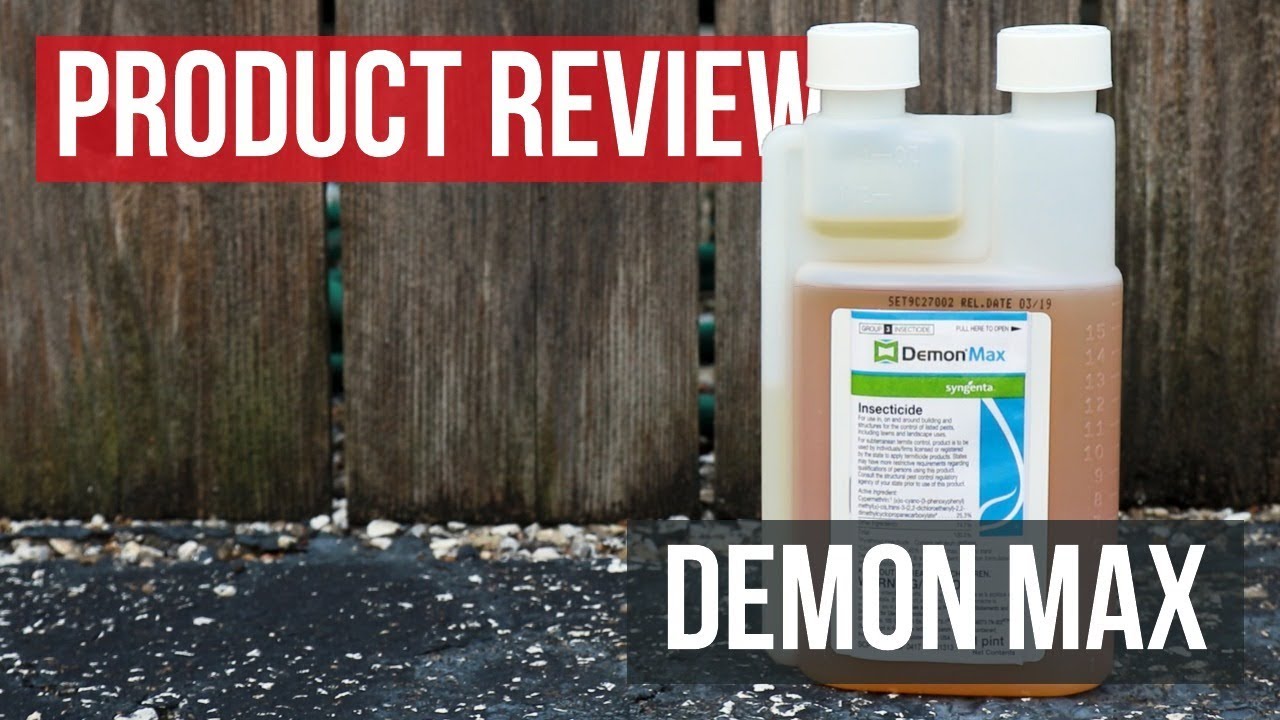 Demon Max: Product Review
