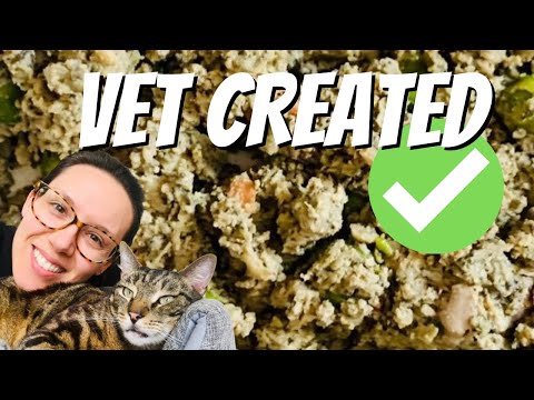 Easy cooked cat food recipes created by vets
