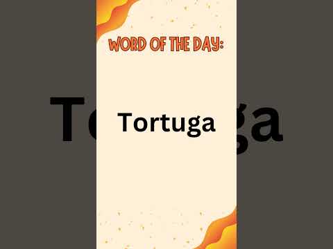 Learn Spanish - Word of the day: Tortuga (Turtle)