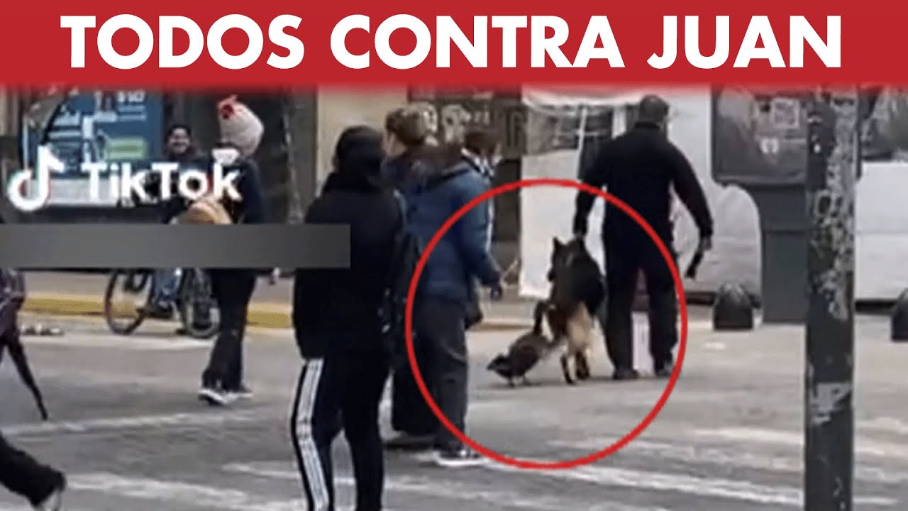 ¿Cómo sigue la vida del Pato Juan?; luego de haber sido expulsado del ...