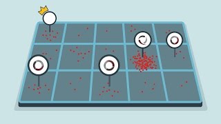 SeQuel Response Reviews | View Portfolios | DesignRush