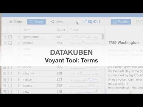 Voyant Tool 02 - Terms