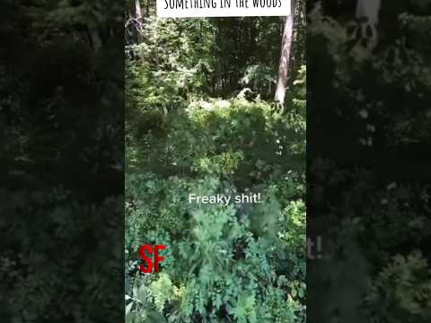 TERRIFYING ENCOUNTER Captured on camera!? ๐ฑ #scary #shorts #ghost