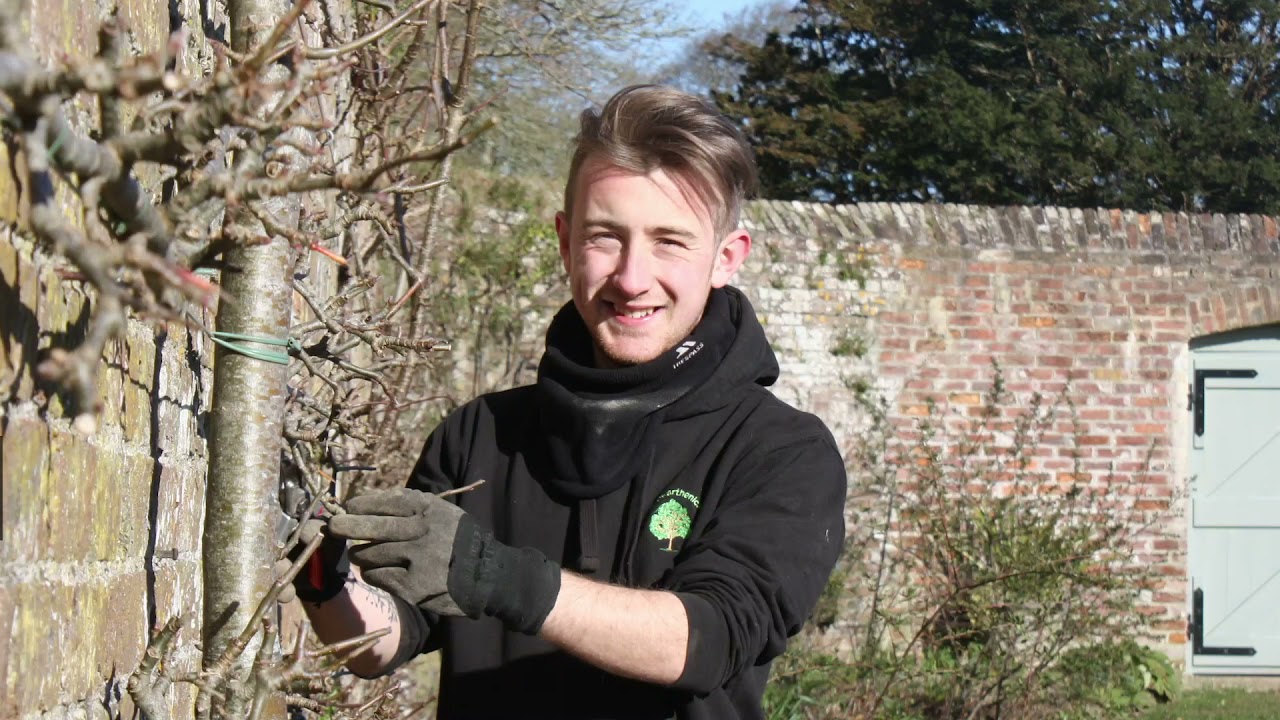 Horticulture Apprenticeship VOD at Duchy College