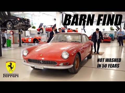 World’s Oldest Ferrari Barn Find, a 1967 330 GT 2+2, Remains Shrouded ...