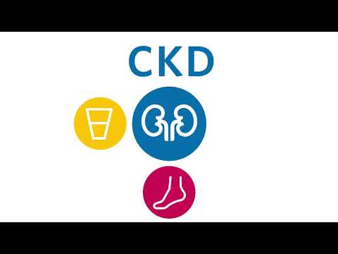 What is Kidney Disease?
